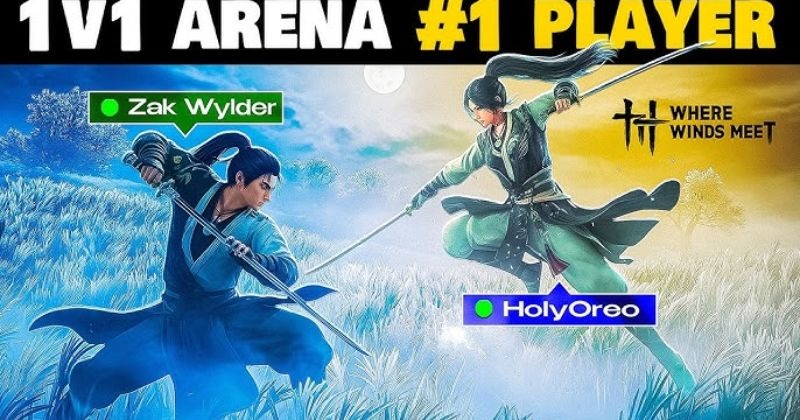 Where Winds Meet PvP Meta: Recommended Builds for Damage & Tank