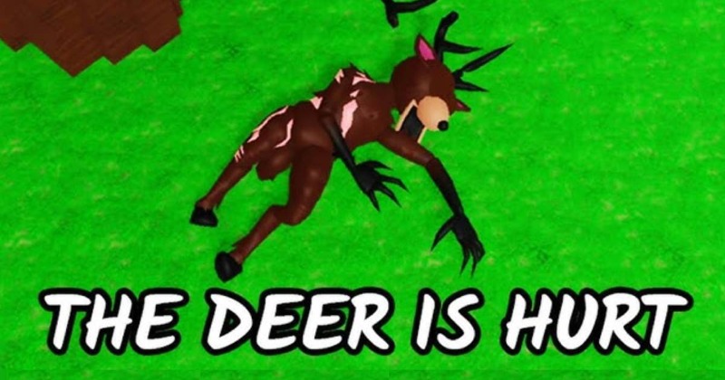 99 nights in the forest the deer is hurt - How to save injured deer