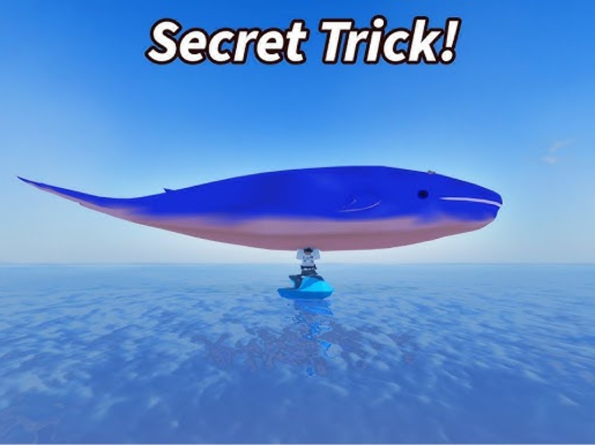 How to Catch a Whale Fish in Fish It (Roblox) – Whale Migration Guide