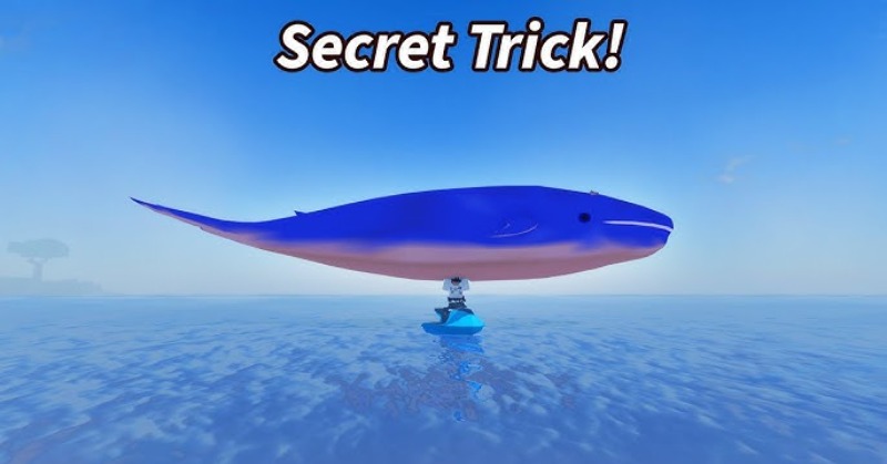 How to Catch a Whale Fish in Fish It (Roblox) – Whale Migration Guide
