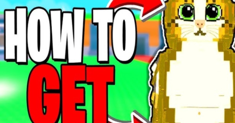 Steal a Brainrot: How to Find and Steal Meowl — Rarity, Luck Boosts, and Event Timing