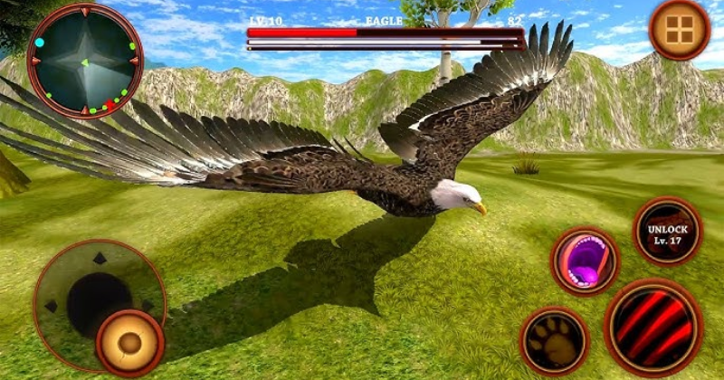 How to Handle Eagle Encounters in RV There Yet