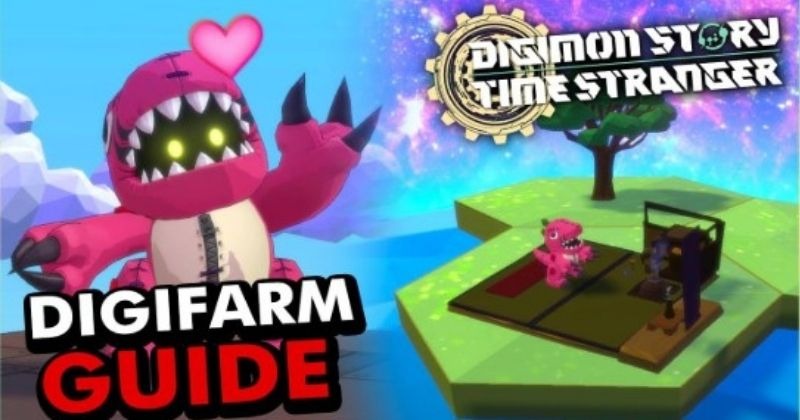 Digifarm Explained: Tips & Tricks for Time Stranger
