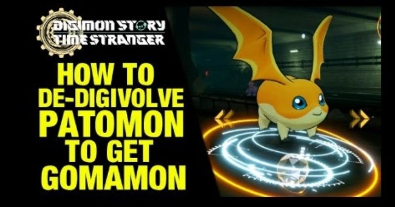 How to Digivolve Patamon in Digimon Story Time Stranger