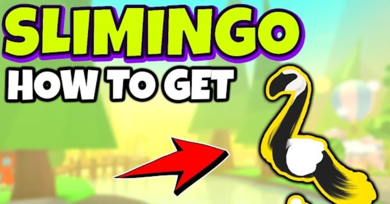 How to Get the Slimingo Pet in Adopt Me Roblox
