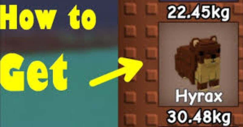 Grow a Garden Roblox Hyrax pet: How to get, stats, and why it’s worth ...