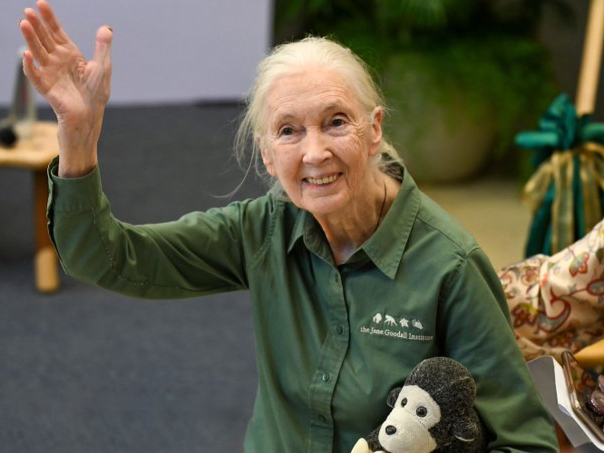 How did Jane Goodall die? Details of the anthropologist’s death revealed