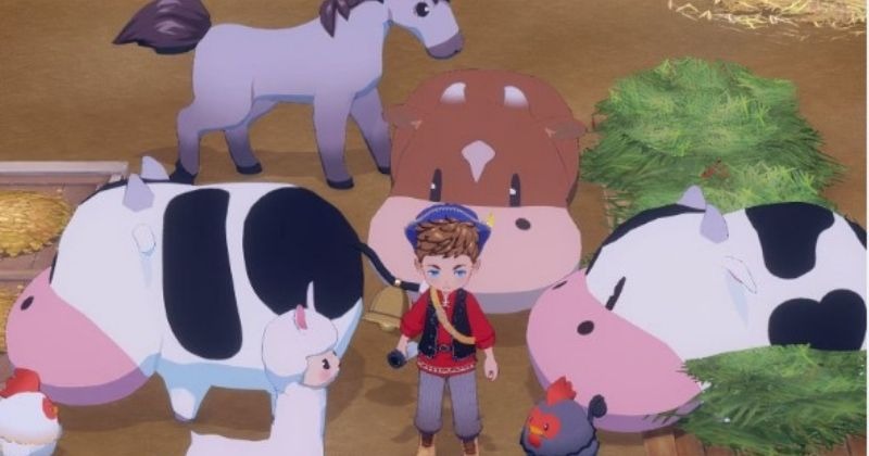 Story of Seasons: Grand Bazaar pets list guide – Dogs, Cats, Horse & Owl