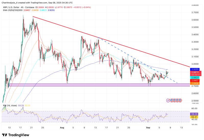 Best cryptocurrency to buy now charts put Remittix top with XRP and ...
