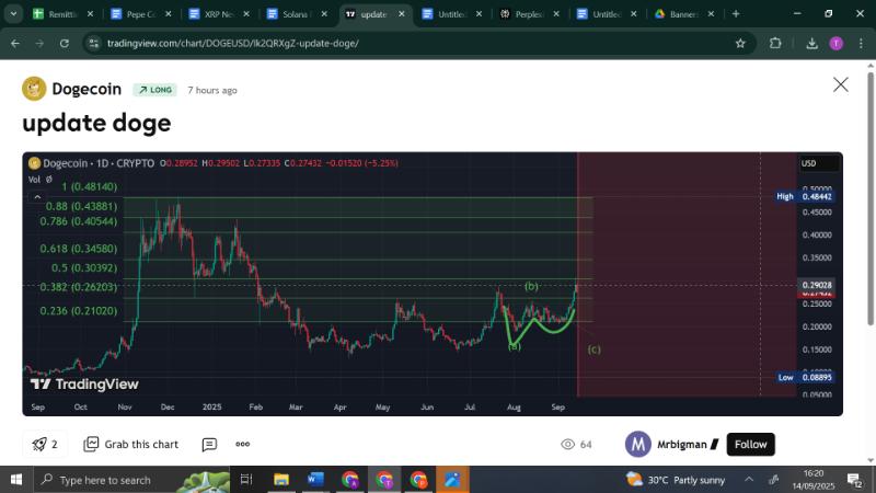 The best altcoin to buy now is no longer Solana or Dogecoin as Remittix ...