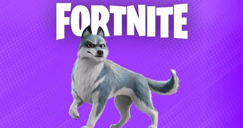 Fortnite Remus Sidekick: How Eligible Players Get It Free in Chapter 7?