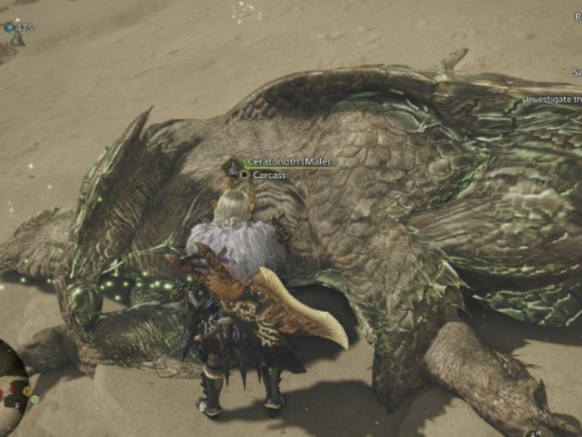 Every Way to Get Herbivore Shell in Monster Hunter Wilds