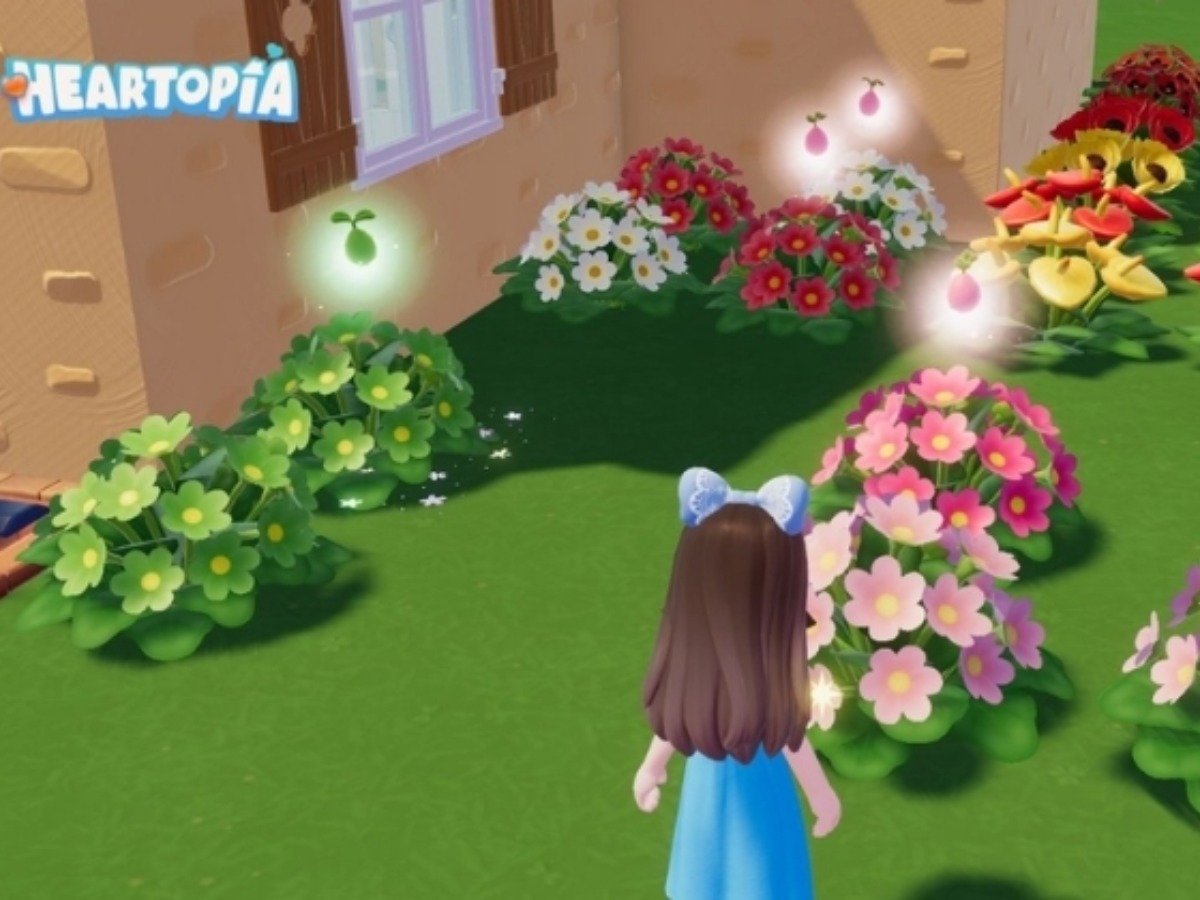 Heartopia Seeds Guide: Where to Buy and How to Get Them
