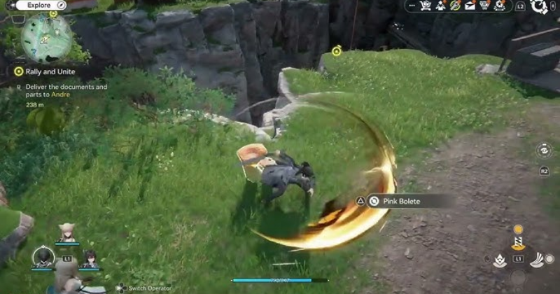 Pink Bolete Locations and Farming Tips for Endfield