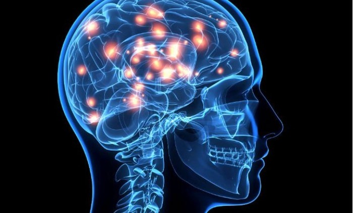 That's How Our Brain Makes Risky Decisions