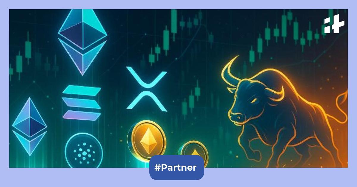 We analyze the best crypto investments for 2025; Who wins, XRP, Cardano, or Remittix?