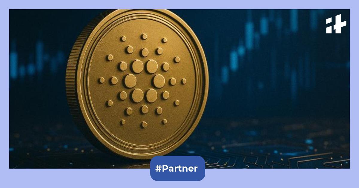 With beta wallet just days away, Remittix is backed over Cardano and AVAX as the next crypto to ...