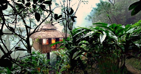 14 Tree-Houses In India Where You Can Feel At One With Nature And Not ...