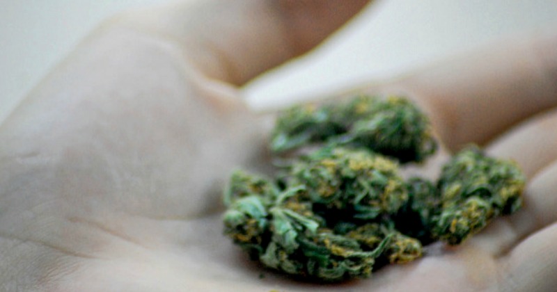 Those Who Get High Together Stay Together: Weed Lovers In Boston Give ...