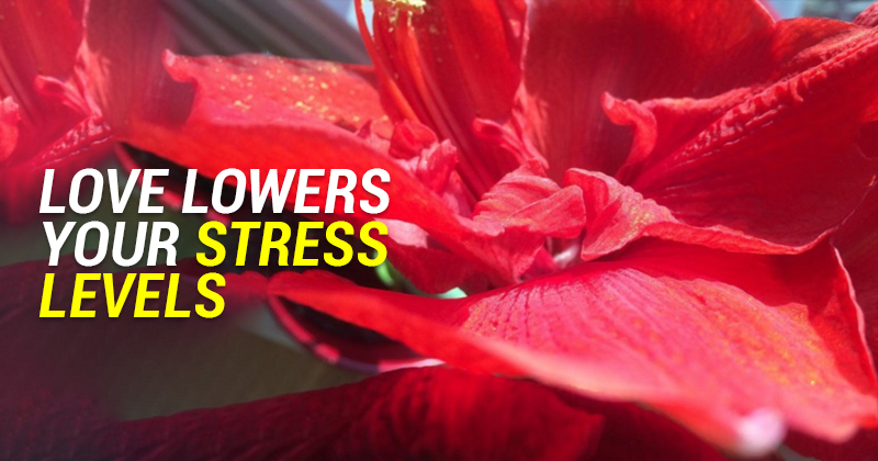 12 Powerful Ways In Which Love Is Actually Good For Your Health!