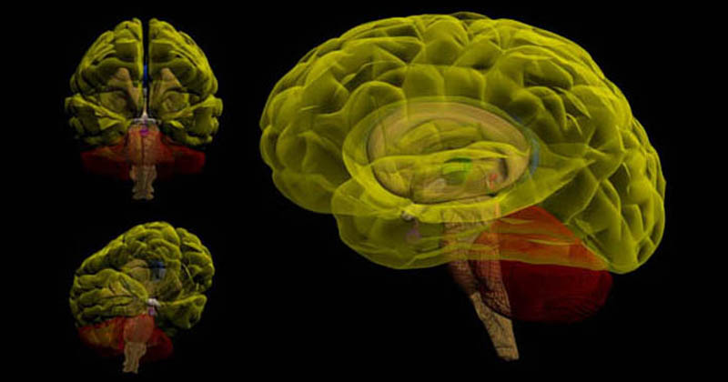 An Indian-Origin Scientist Is Part Of A Team That Has Developed 3D ...