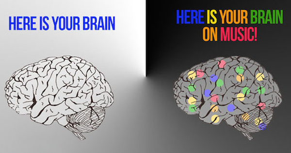 This Is What Playing A Musical Instrument Does To Your Brain!
