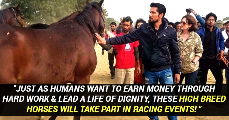 Randeep Hooda Adopts 9 Dying Horses, Plans To Put Them Back On The Race ...