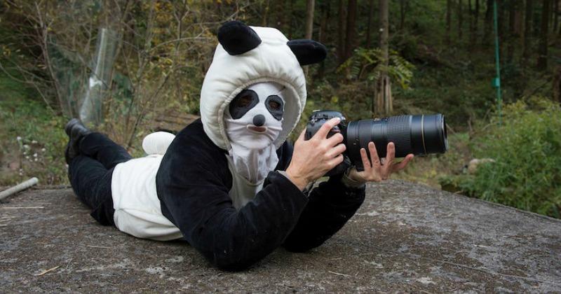 Famous Photographer Dresses Up As A Panda And Her Pictures Will Surely ...