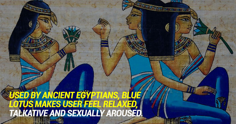 9 Substances People Used As Drugs In Prehistoric Times