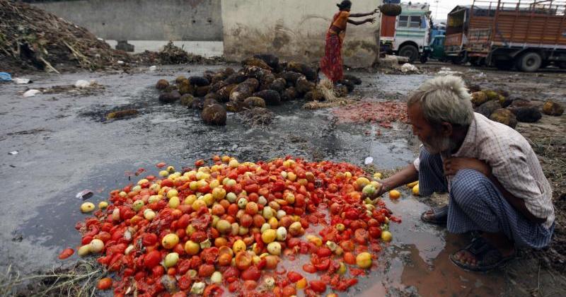 Indian-Origin Scientists Believe Rotten Tomatoes Could Be A Source Of ...
