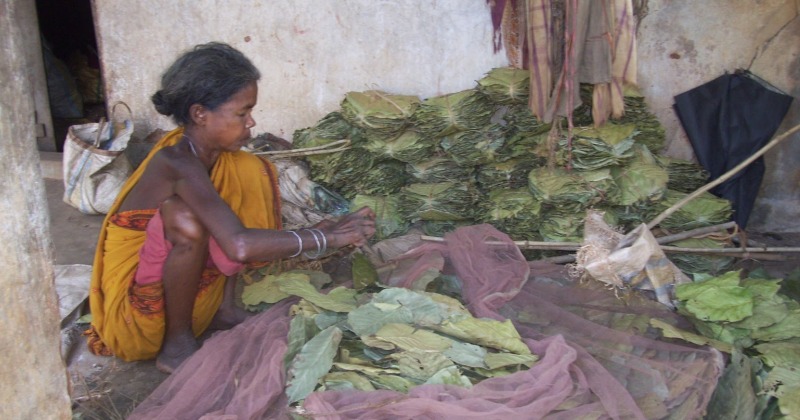 3,500 Tribal Women Turn Entrepreneurs As Their Siali Leaf Plates Make ...