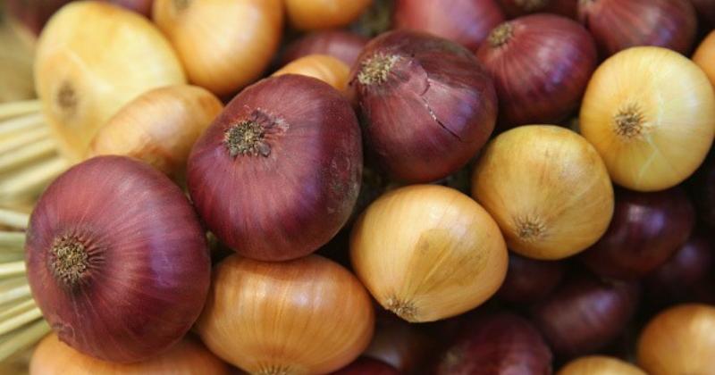 We So Underestimate It, But Natural Compound In Onions Can Help Fight ...