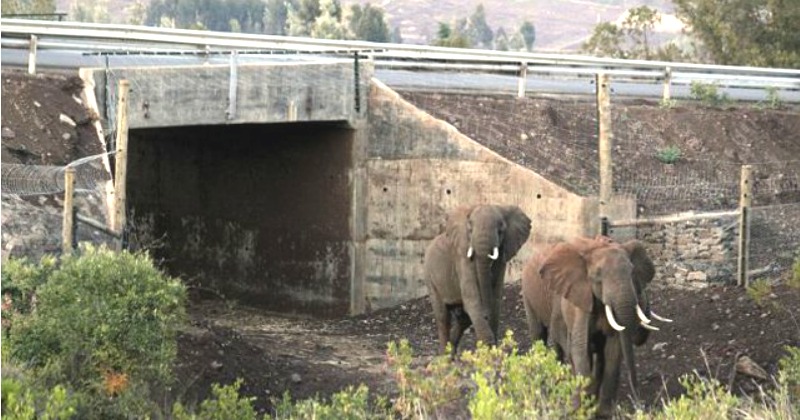 Infamous For Many Accidents, NH-8 Will Soon Have An Underpass ...