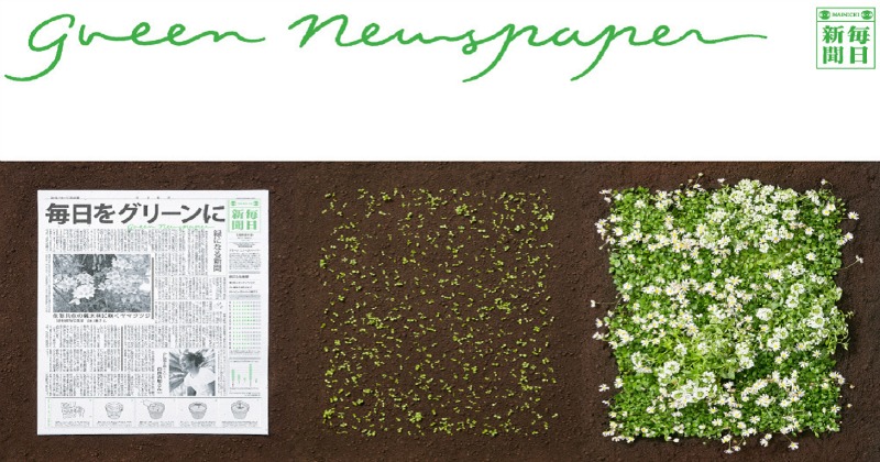 Japan's 'Green Newspaper' That Blooms When You Plant It Is A Perfect ...