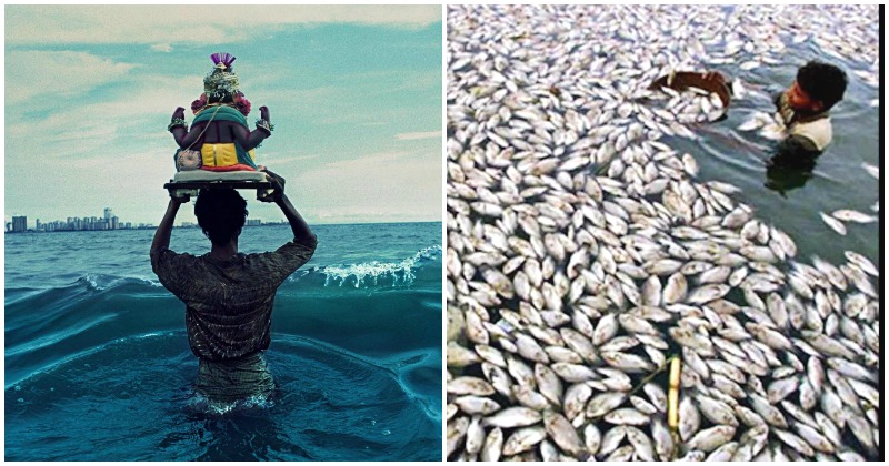 Chemicals From The Ganesh Idol Visarjan Kill More Than 300 Fish In A ...