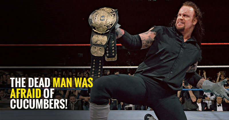 Here Are 10 Interesting Facts You Probably Did Not Know About The ...