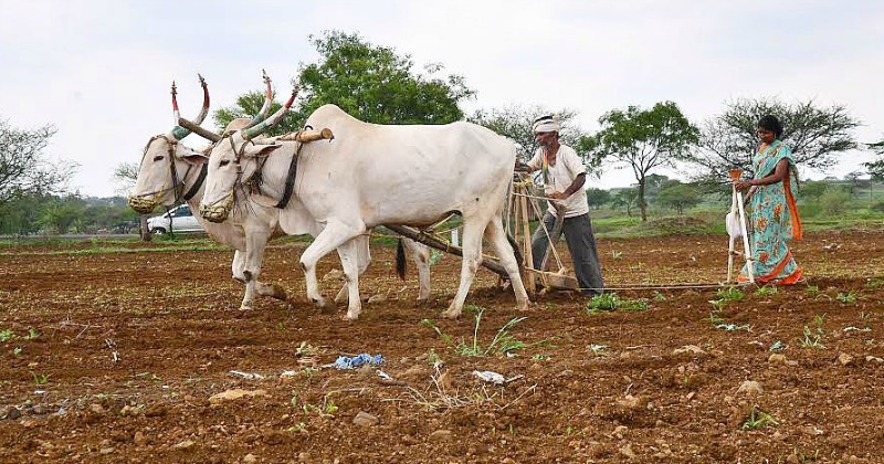 Not Drought, But 'Lack Of Spirituality' Is Why Farmers Commit Suicide ...