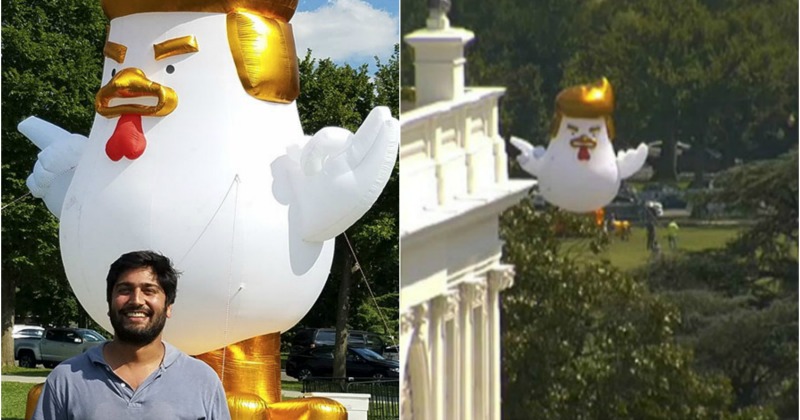 Indian-Origin Activist Releases A Giant Inflatable Trump Chicken Near ...