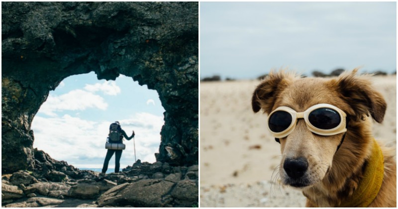 This Adorable Dog And Her 'Hooman' Are Enjoying The Best Of Travel ...