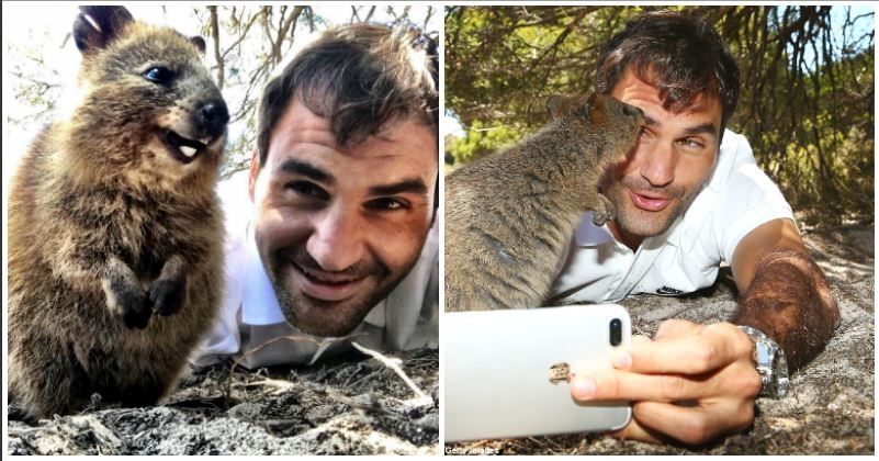 Roger Federer's Selfie With The World's Happiest Animal Is Winning The ...