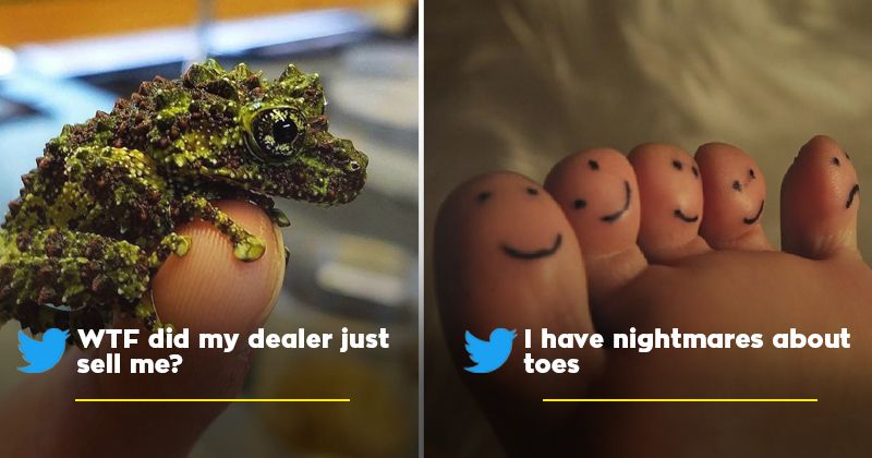 33 Totally Random Tweets That Will Make You Go WTF