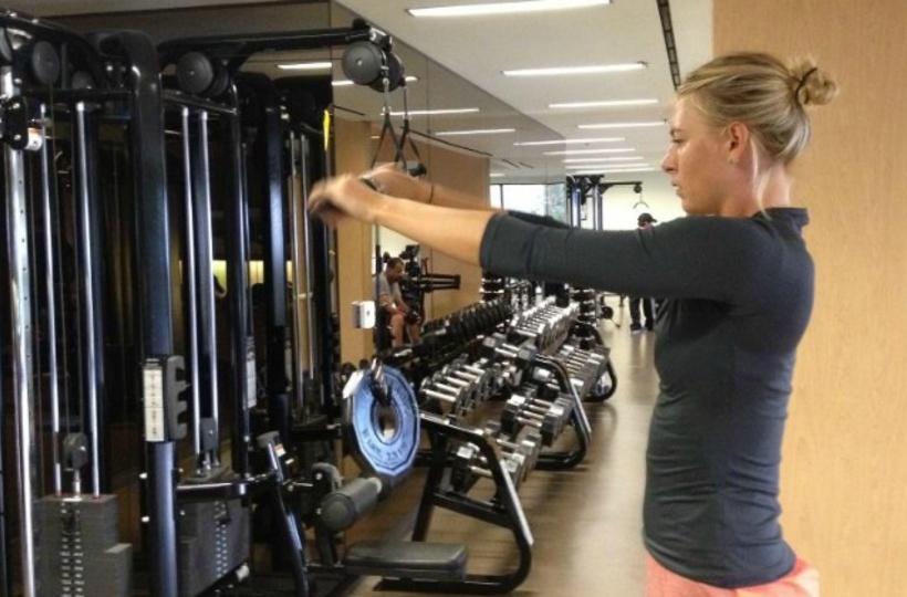 Maria Sharapova Shape