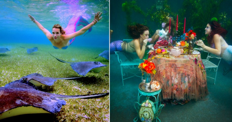 Taken A Mermaid Vacation Yet? But, Wait. What Is That?