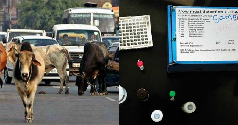 In Order To Contain Law And Order Issues, Maharashtra Police To Use Cow ...