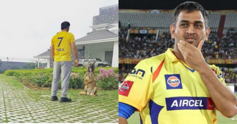 MS Dhoni Posts Photo In Chennai Super Kings Jersey, Hints A Return To His Old Franchise