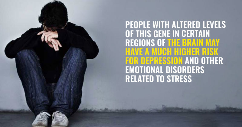 We May Have Just Identified The Gene That Causes Depression