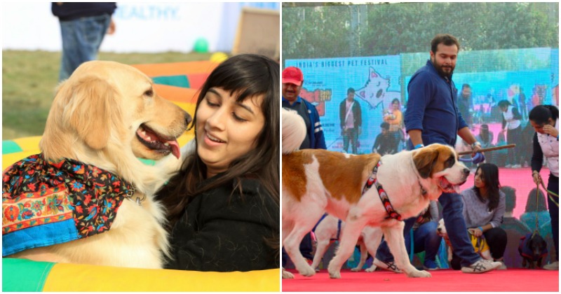 There's A Pet Festival Happening In Delhi & Mumbai So You Can Skip ...