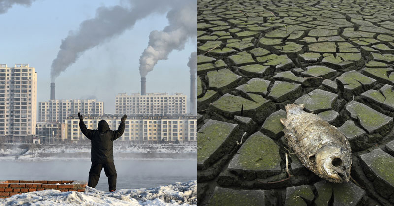 On World Environment Day, Here's A Look At The Damage Man Has Done To ...