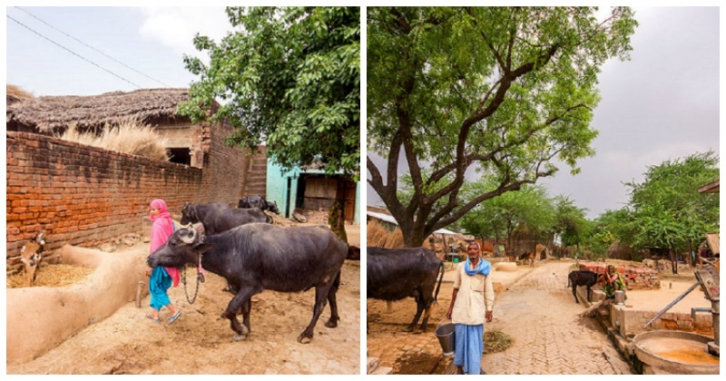 In Order To Uplift The Lifestyle Of Rural India, NRIs Based In US Will ...