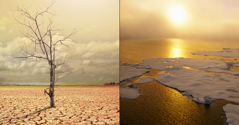 30 Iconic Images That Show Our Environment Is Pure Amazeballs (And ...